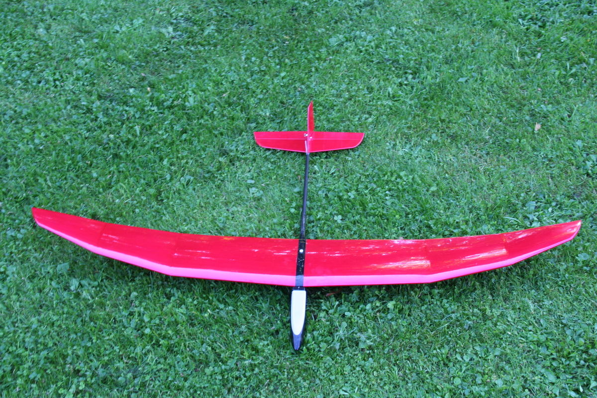 Spitzel von Wildflug